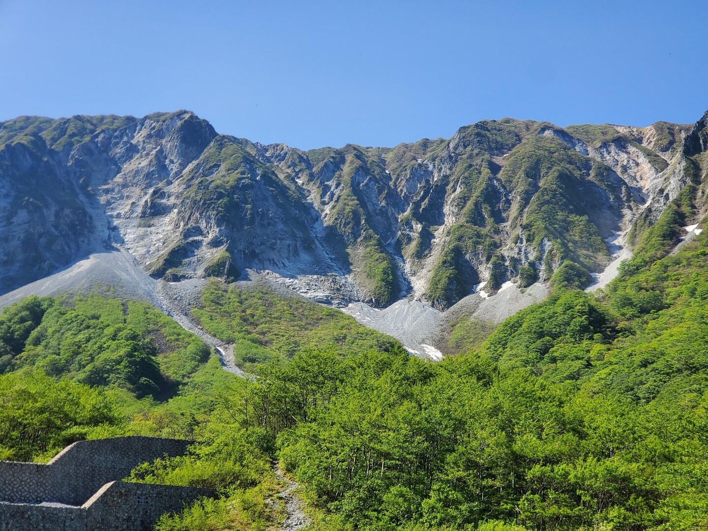 伯耆大山（弥山） / mioさんの大山・甲ヶ山・野田ヶ山の活動データ | YAMAP / ヤマップ