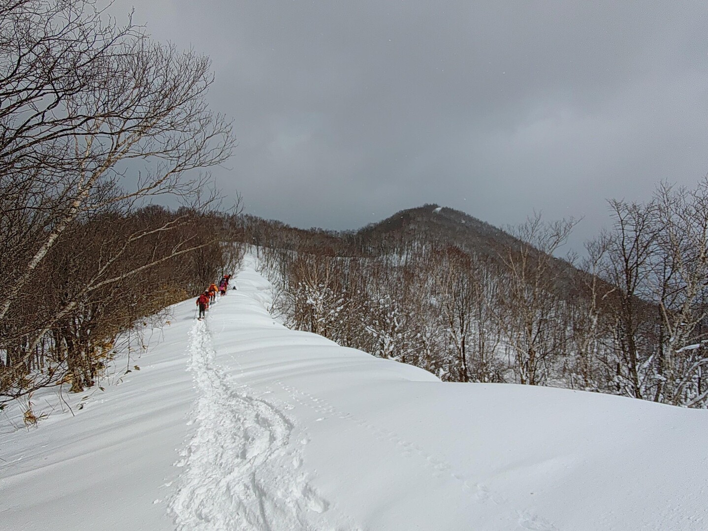 2024_03_10_御月山（初めて） / bakkyさんの八幡平・源太森・安比岳の活動データ | YAMAP / ヤマップ