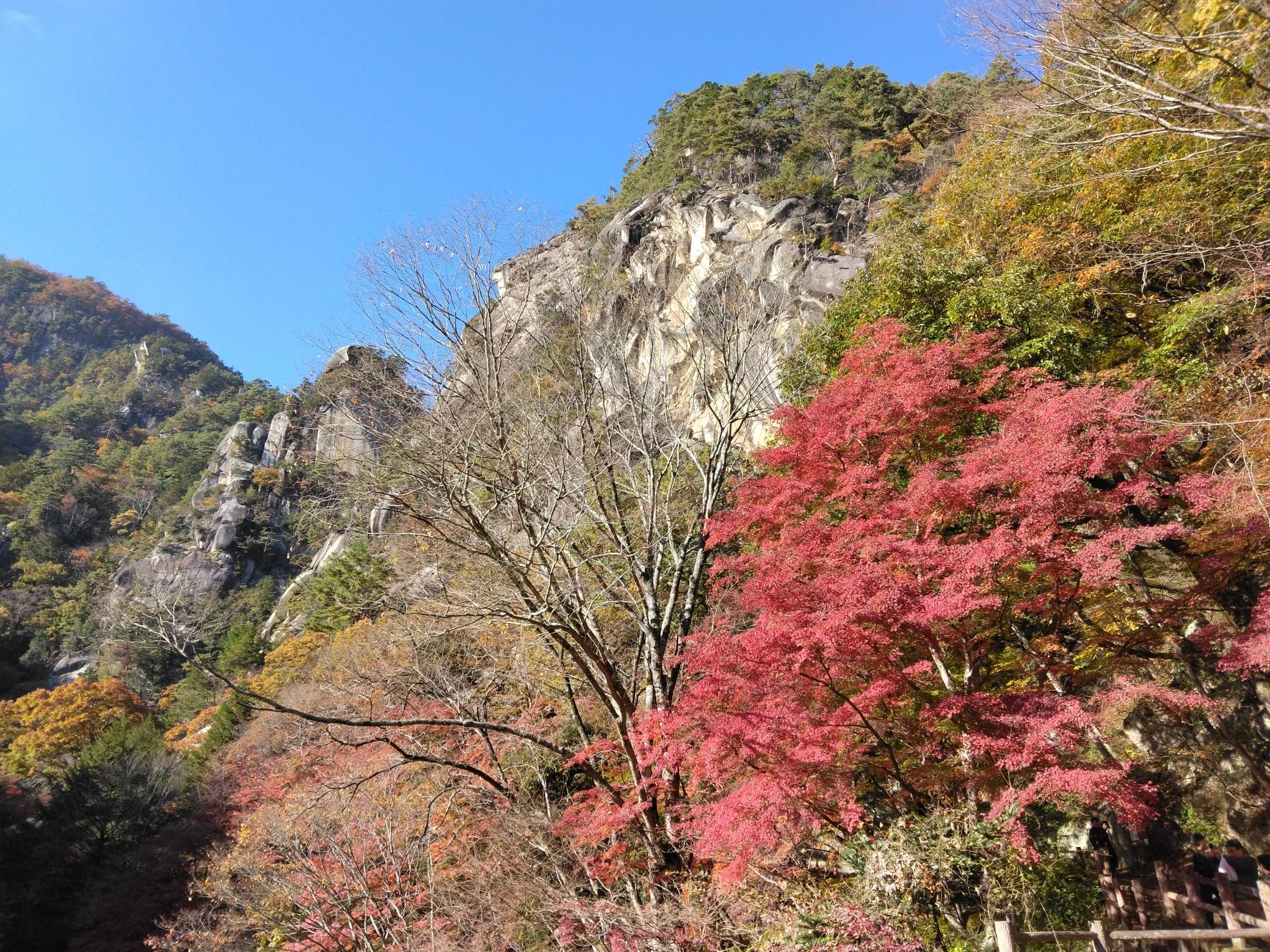 白砂山・弥三郎岳（羅漢寺山) / tom-maniさんの弥三郎岳（羅漢寺山）の活動データ | YAMAP / ヤマップ