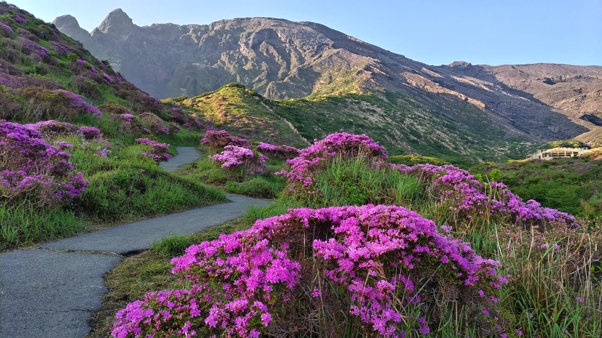 高岳・中岳・仙酔峡ルートで登る / hachiさんの阿蘇山・高岳・根子岳の活動データ | YAMAP / ヤマップ