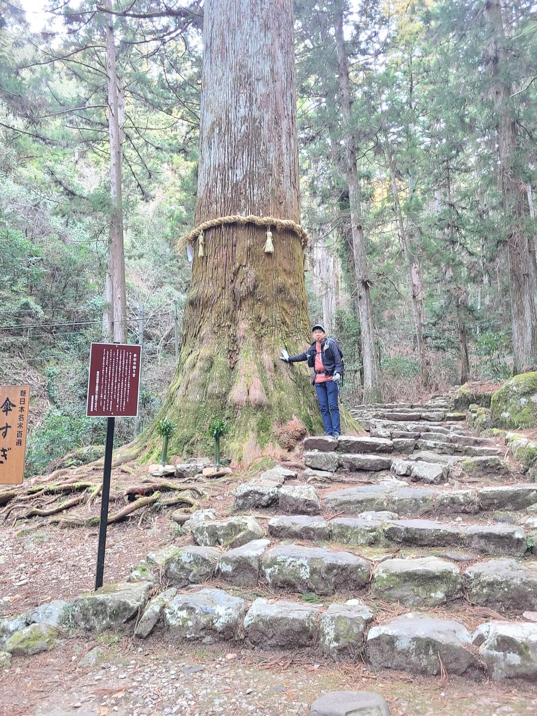 鳳来寺山・瑠璃山 / tatubaiさんの宇連山・鳳来寺山・岩古谷山の活動データ | YAMAP / ヤマップ