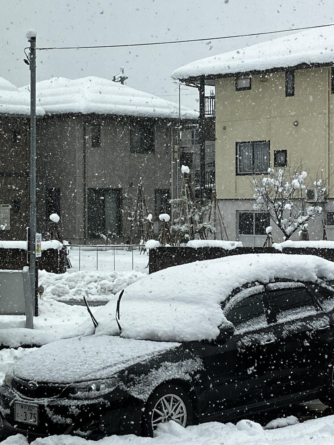 せっかくの休みでしたが 豪雪に閉じ込めら... / shouさんのモーメント | YAMAP / ヤマップ