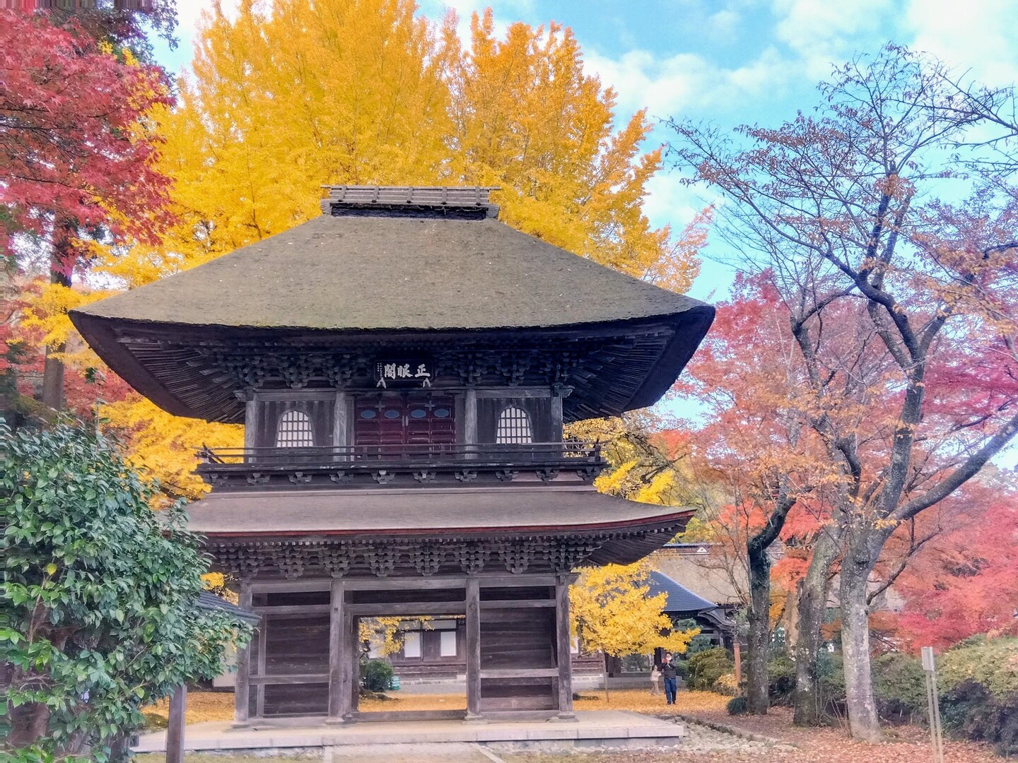 黄金煌めく / isokitiさんの臼杵山・市道山・刈寄山の活動データ | YAMAP / ヤマップ