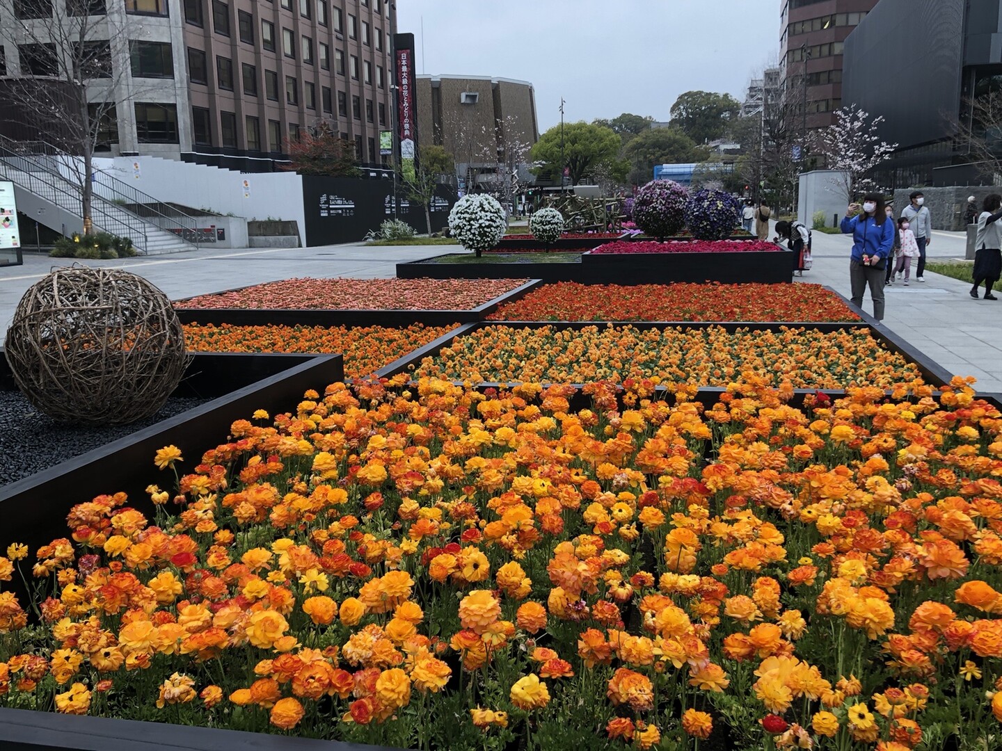 くまもと花とみどりの博覧会、街中エリアは... / yasuさんのモーメント | YAMAP / ヤマップ