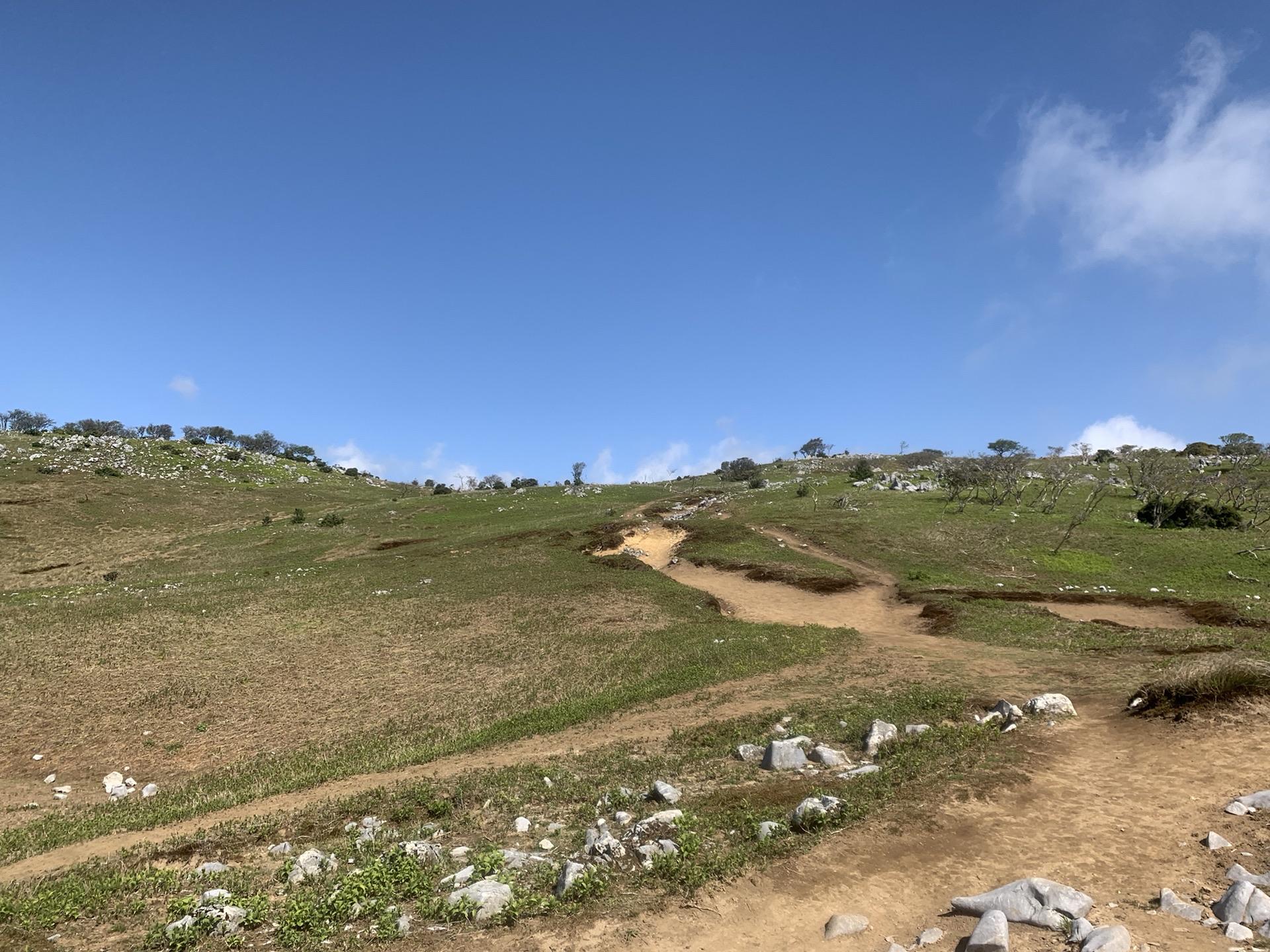 天狗岩・藤原岳 / Hiro_10さんの藤原岳・御池岳の活動データ | YAMAP / ヤマップ