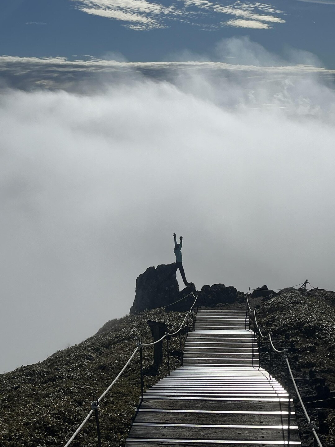 剣山（1955m。徳島県） / lilyさんの剣山の活動データ | YAMAP / ヤマップ