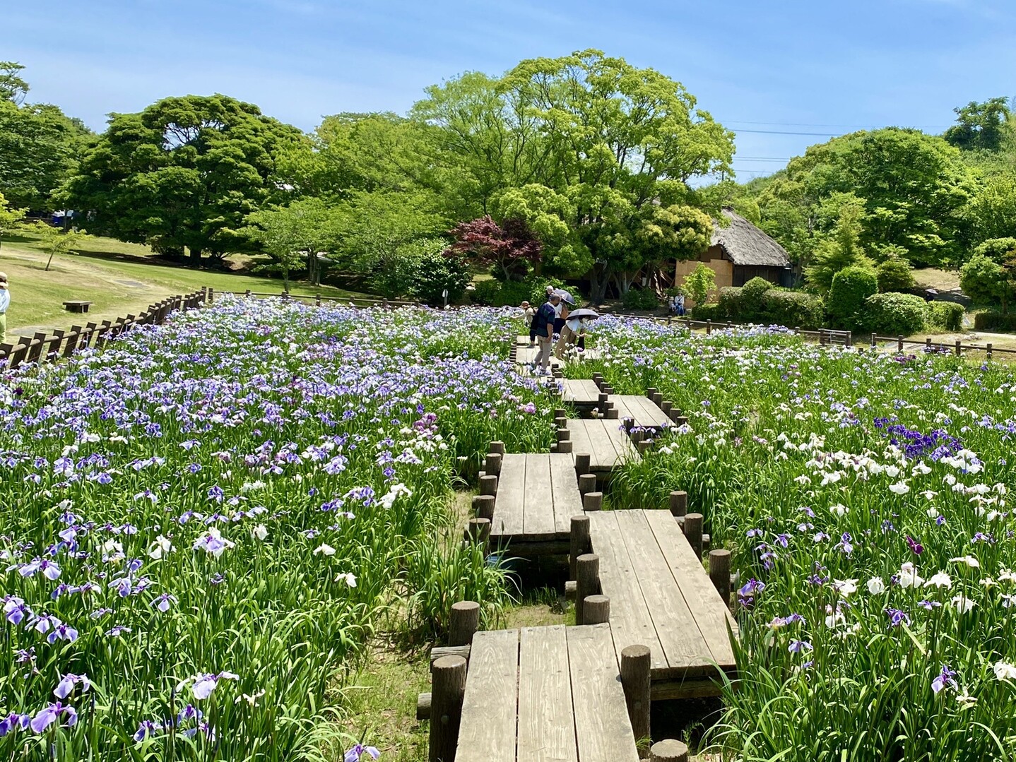 💠2022.6.4💠 今日は登山が中... / ･:*+. tomo ꒰๑ϋ๑꒱♬*｡ﾟさんのモーメント | YAMAP / ヤマップ
