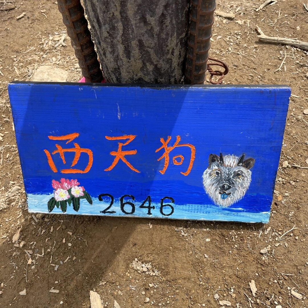 2023.06.18 東天狗岳・西天狗岳👺白駒池駐車場スタート / tmkさんの八ヶ岳（赤岳・硫黄岳・天狗岳）の活動データ | YAMAP / ヤマップ