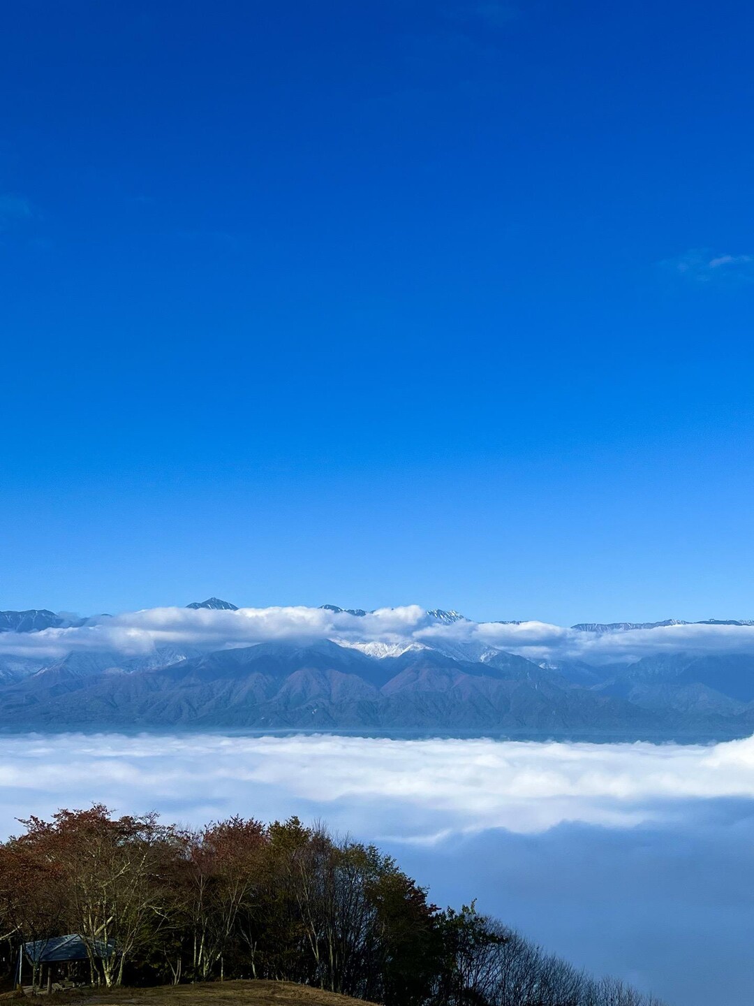 冠雪の北アルプスと雲海(長峰山山頂より)... / kazu51さんのモーメント | YAMAP / ヤマップ