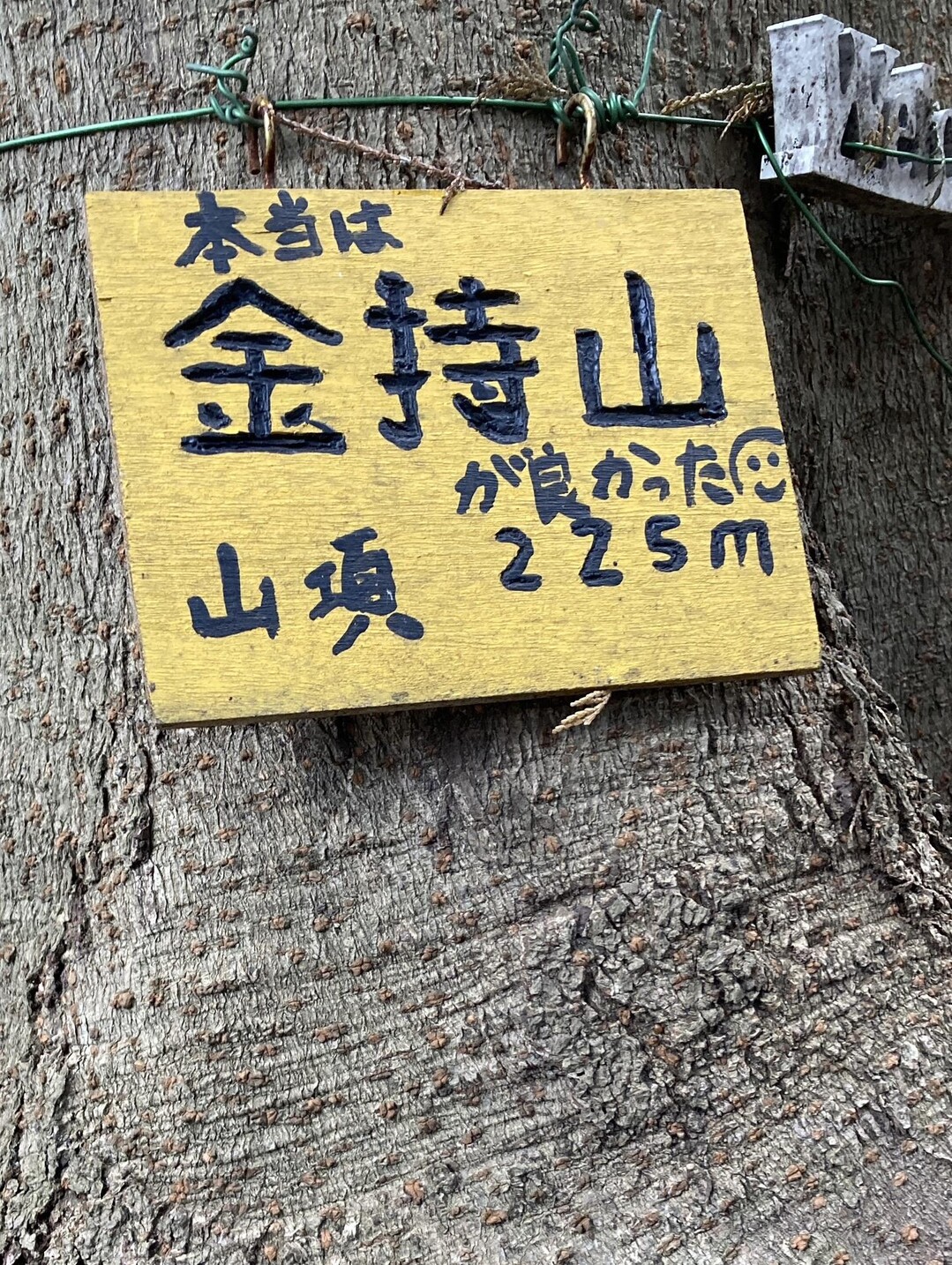 Trans Gamagori Mountains Challenge-Round 55K / しみしみさんの五井山・宮路山・御堂山の活動データ | YAMAP / ヤマップ