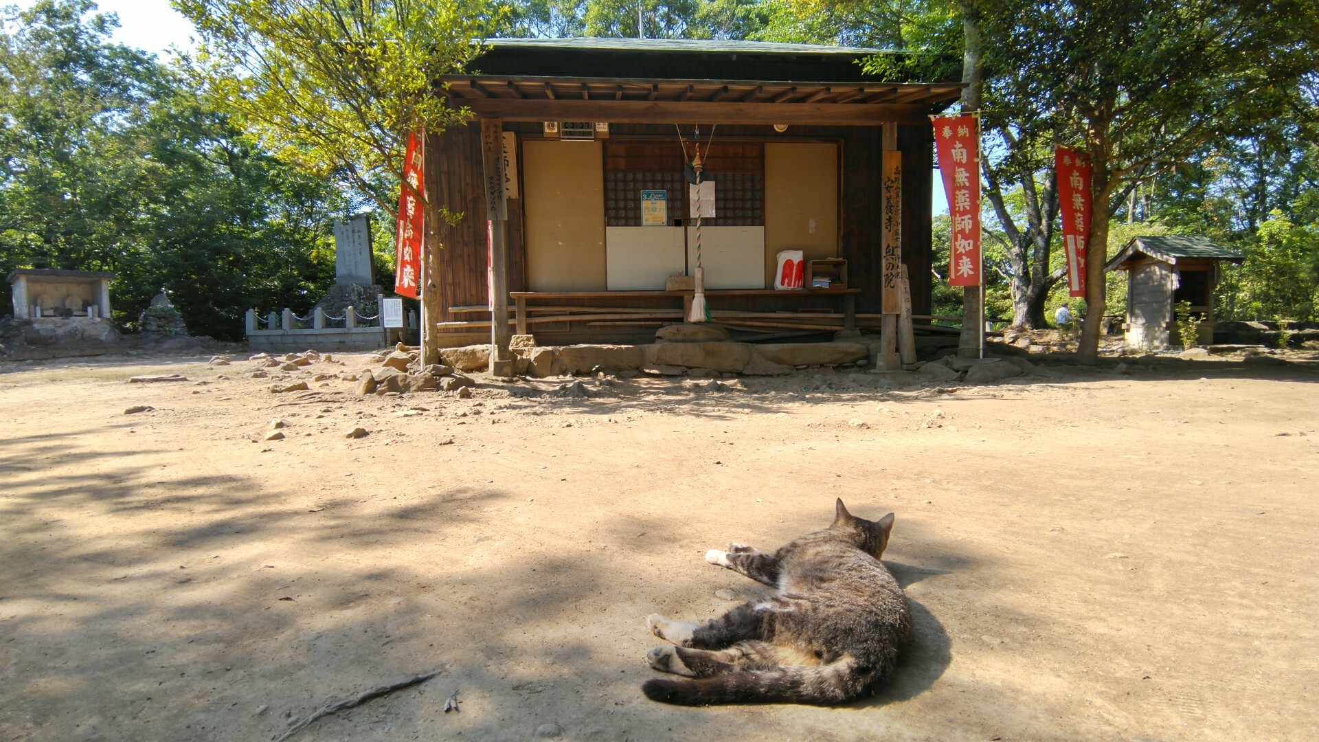 飯野山（讃岐富士） / hiroko-s さんの飯野山（讃岐富士）の活動データ | YAMAP / ヤマップ