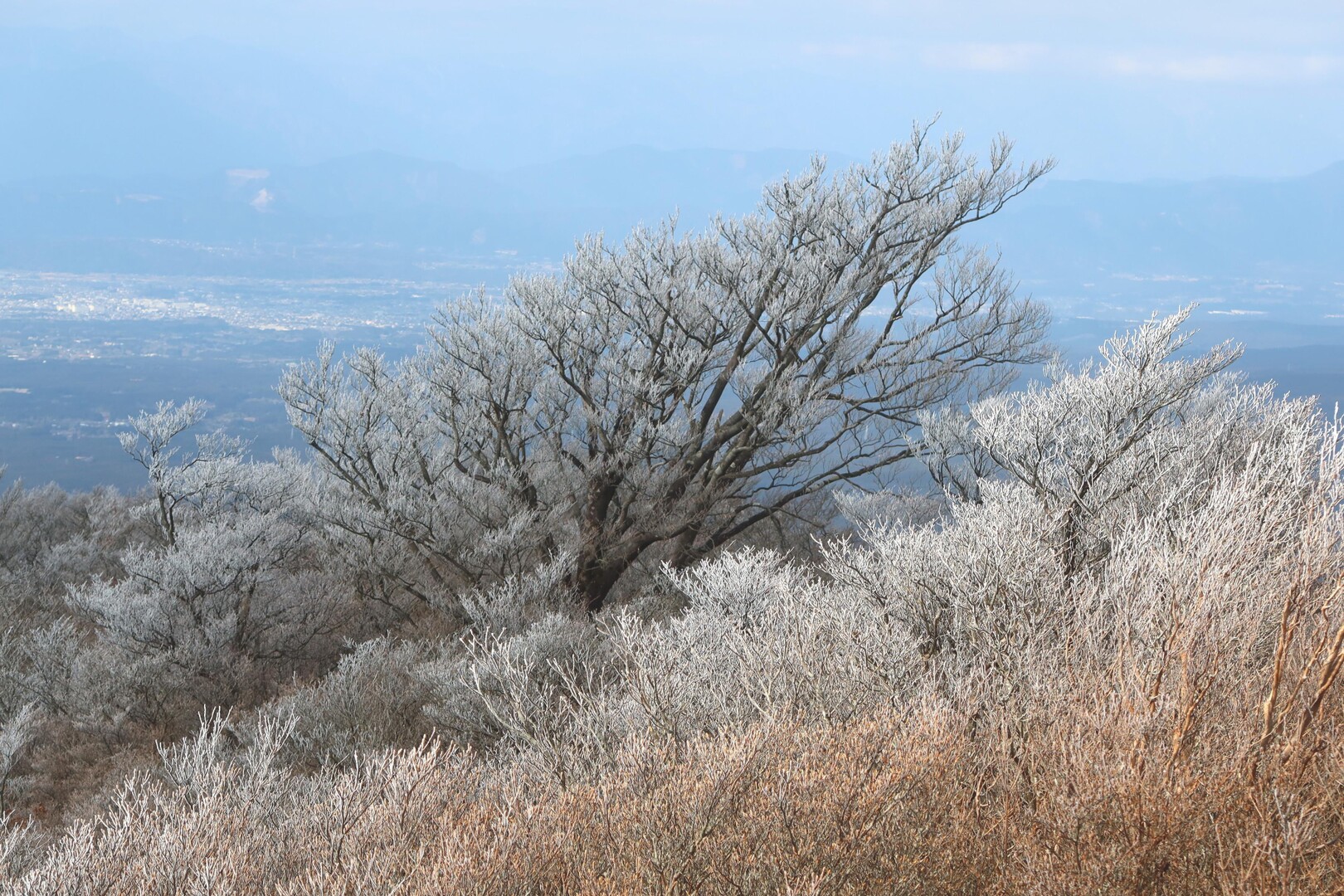マニアルートで越前岳・黒岳と氷筍 / kunsanさんの愛鷹山・大岳・黒岳の活動データ | YAMAP / ヤマップ