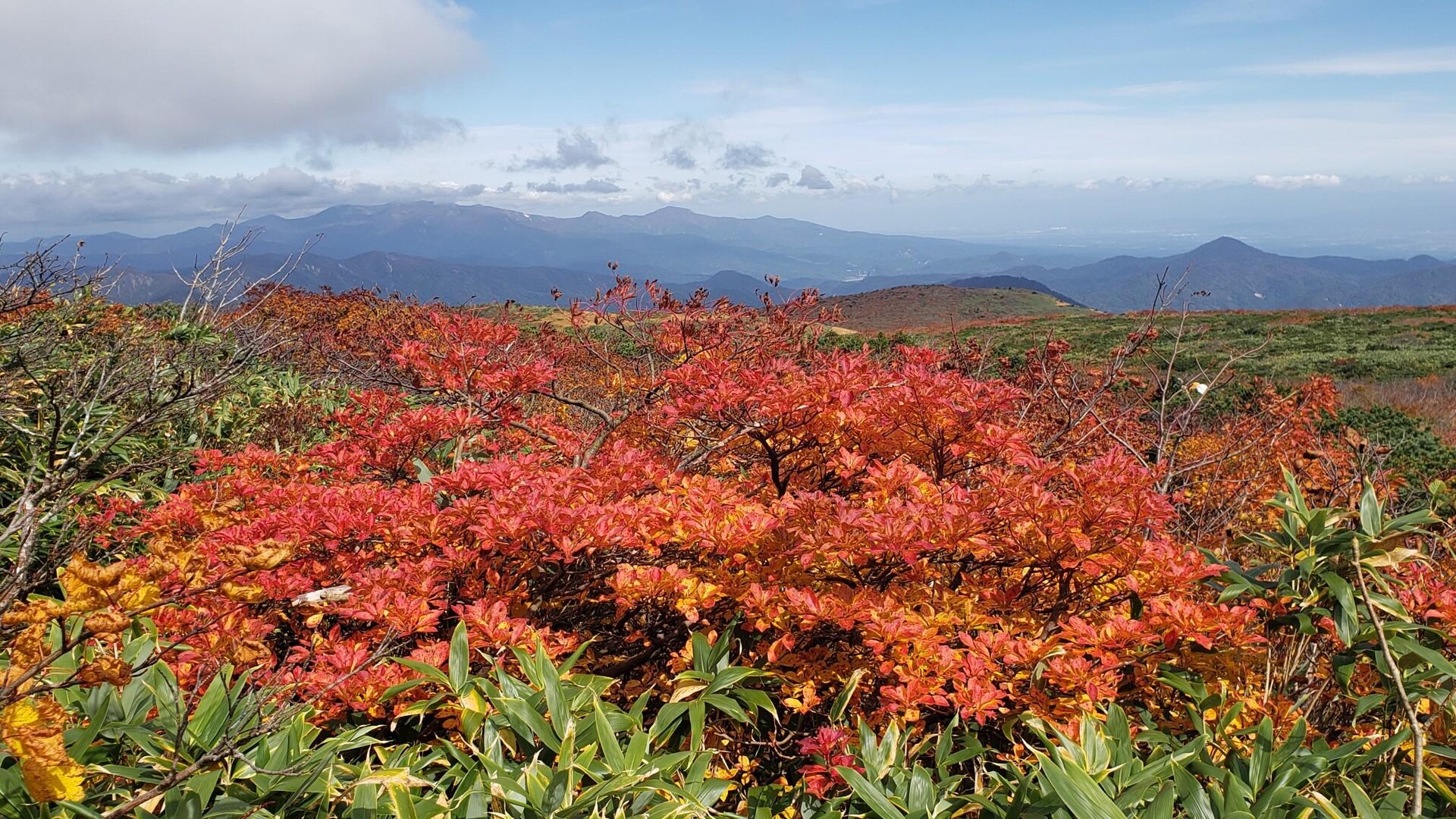 栗駒山(須川岳)·神の絨毯を満喫 / iSleepさんの栗駒山（須川岳）・秣岳・虚空蔵山の活動データ | YAMAP / ヤマップ