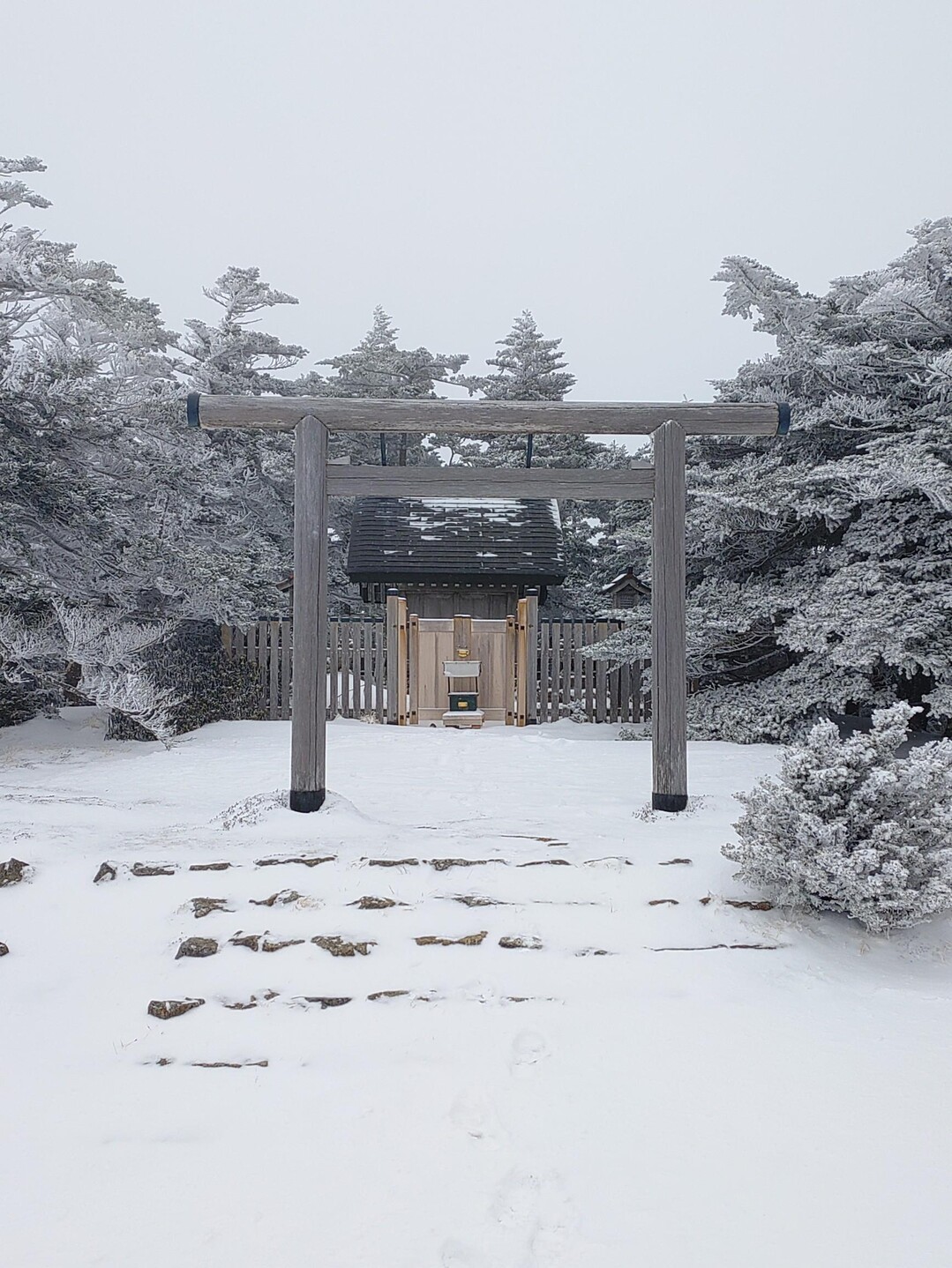 八経ヶ岳 / R.hondaさんの八経ヶ岳の活動データ | YAMAP / ヤマップ