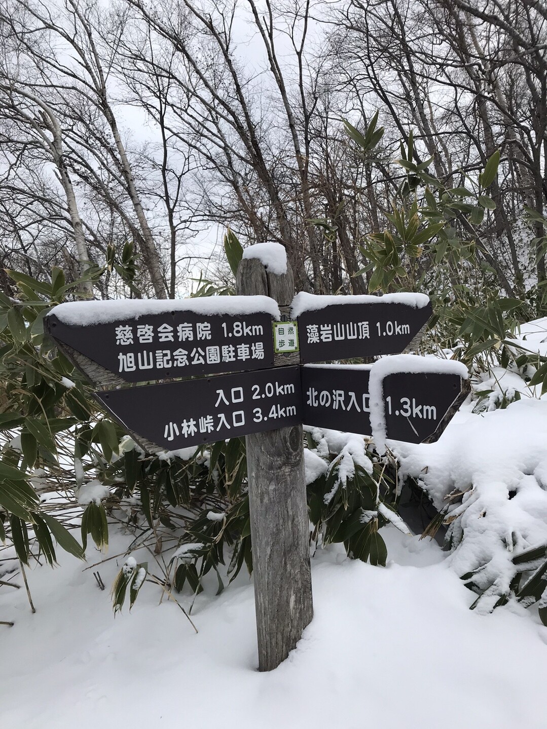 藻岩山-2020-02-01 / tokoさんの藻岩山の活動日記 | YAMAP / ヤマップ