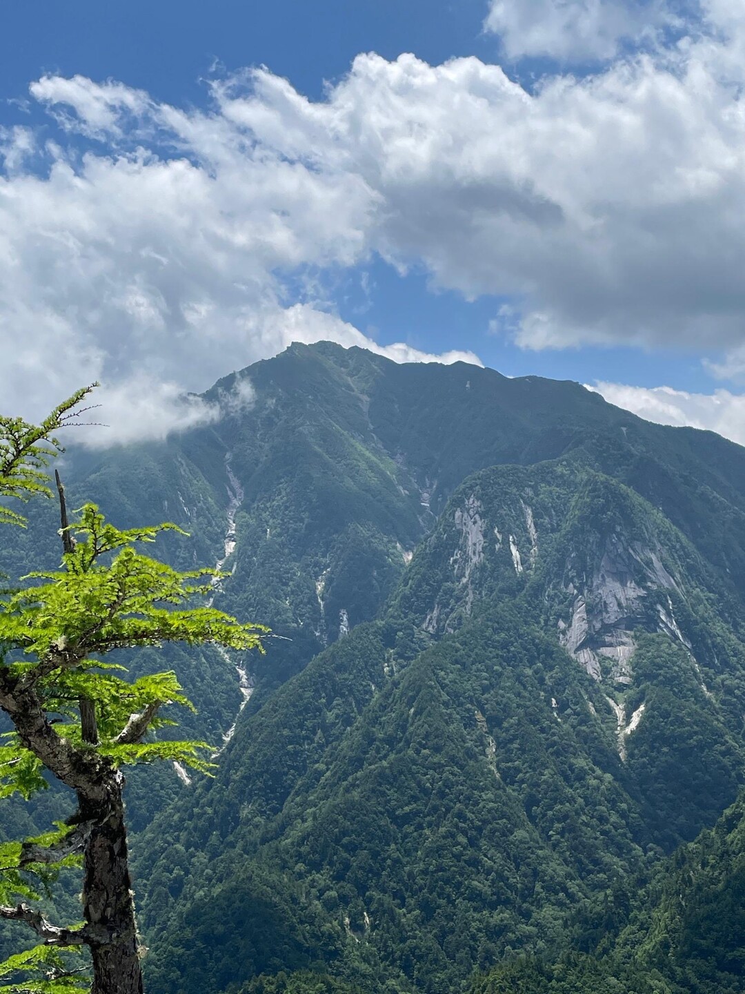 鞍掛山から甲斐駒を臨む / HajiManaさんの甲斐駒ヶ岳・日向山の活動データ | YAMAP / ヤマップ