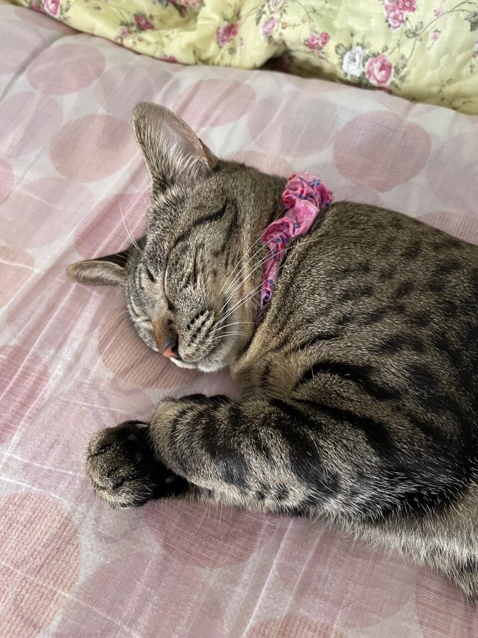 ota660のページ | YAMAP / ヤマップ