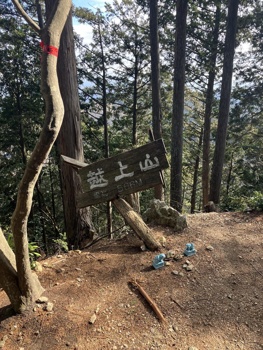 虎秀山・鶴ヶ峰・宝山（後ロ山）・越上山・鼻曲山・椎ノ木山・桂木山・大高取山・根っこ山・西山高取... / gawaさんの日和田山・物見山の活動データ | YAMAP / ヤマップ