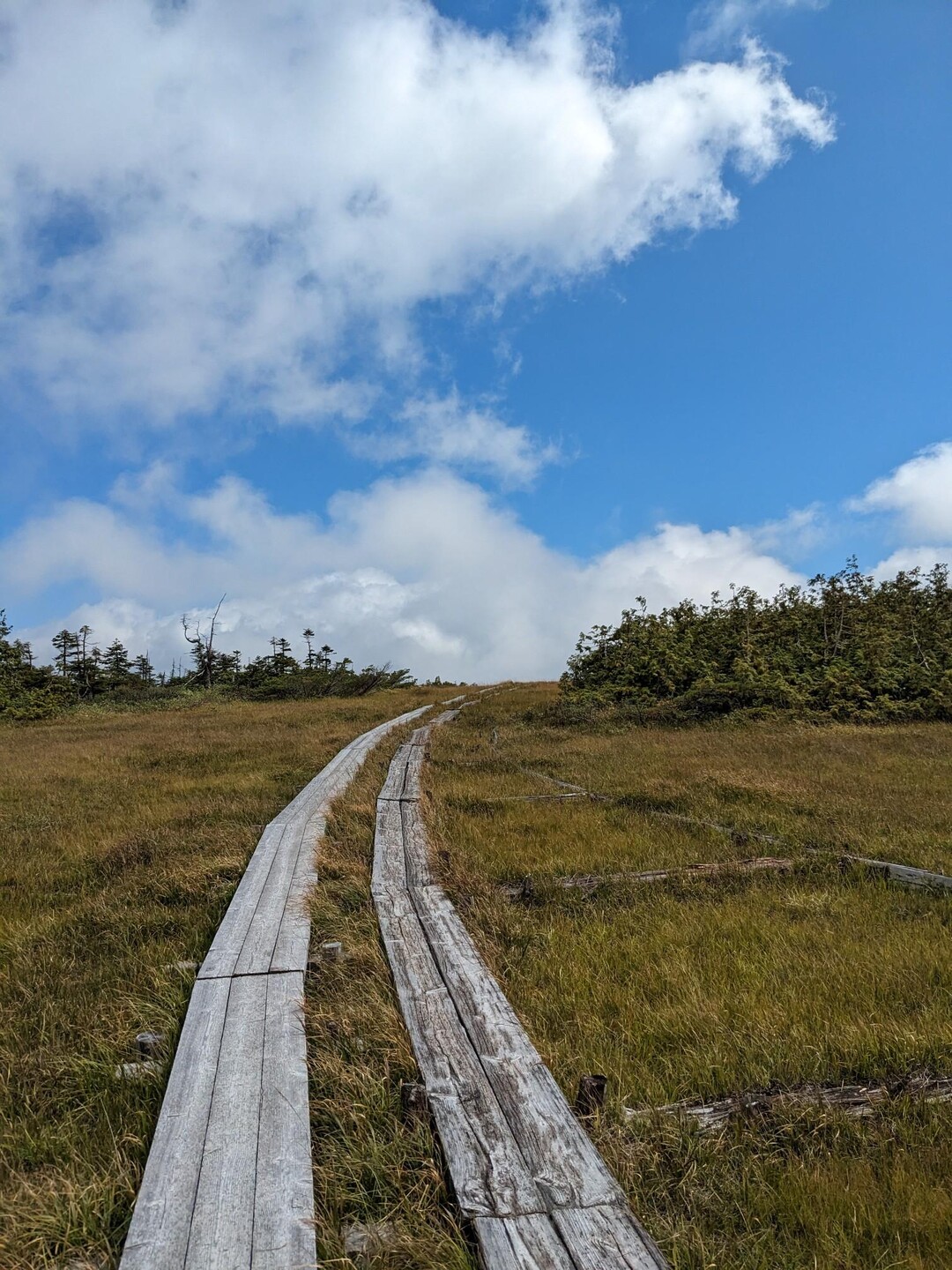 アヤメ平から尾瀬ヶ原ハイキング / hey-ho-yoshi-v7さんの尾瀬・燧ヶ岳の活動データ | YAMAP / ヤマップ