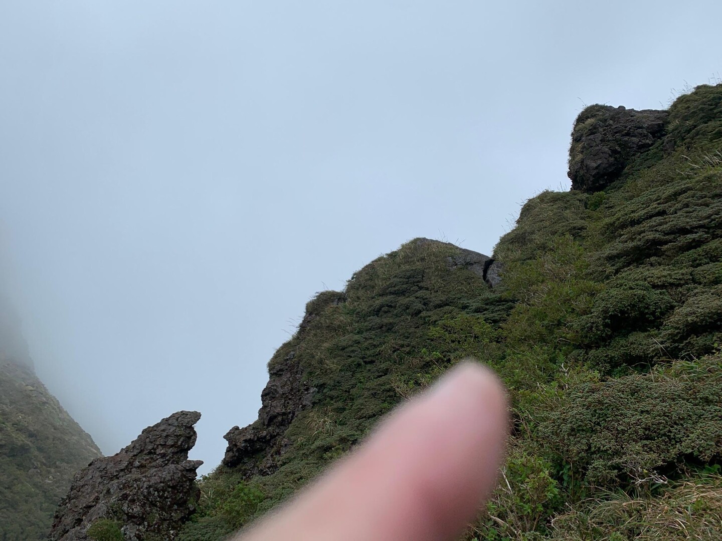 HALさんの投稿したフィールドメモ | YAMAP / ヤマップ