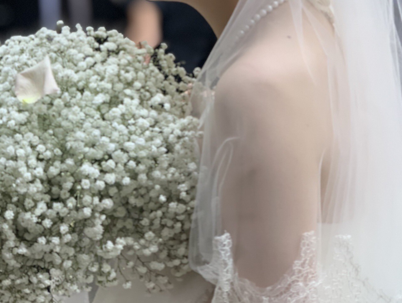 these days No,62 幸... / Wis⁂さんのモーメント | YAMAP / ヤマップ