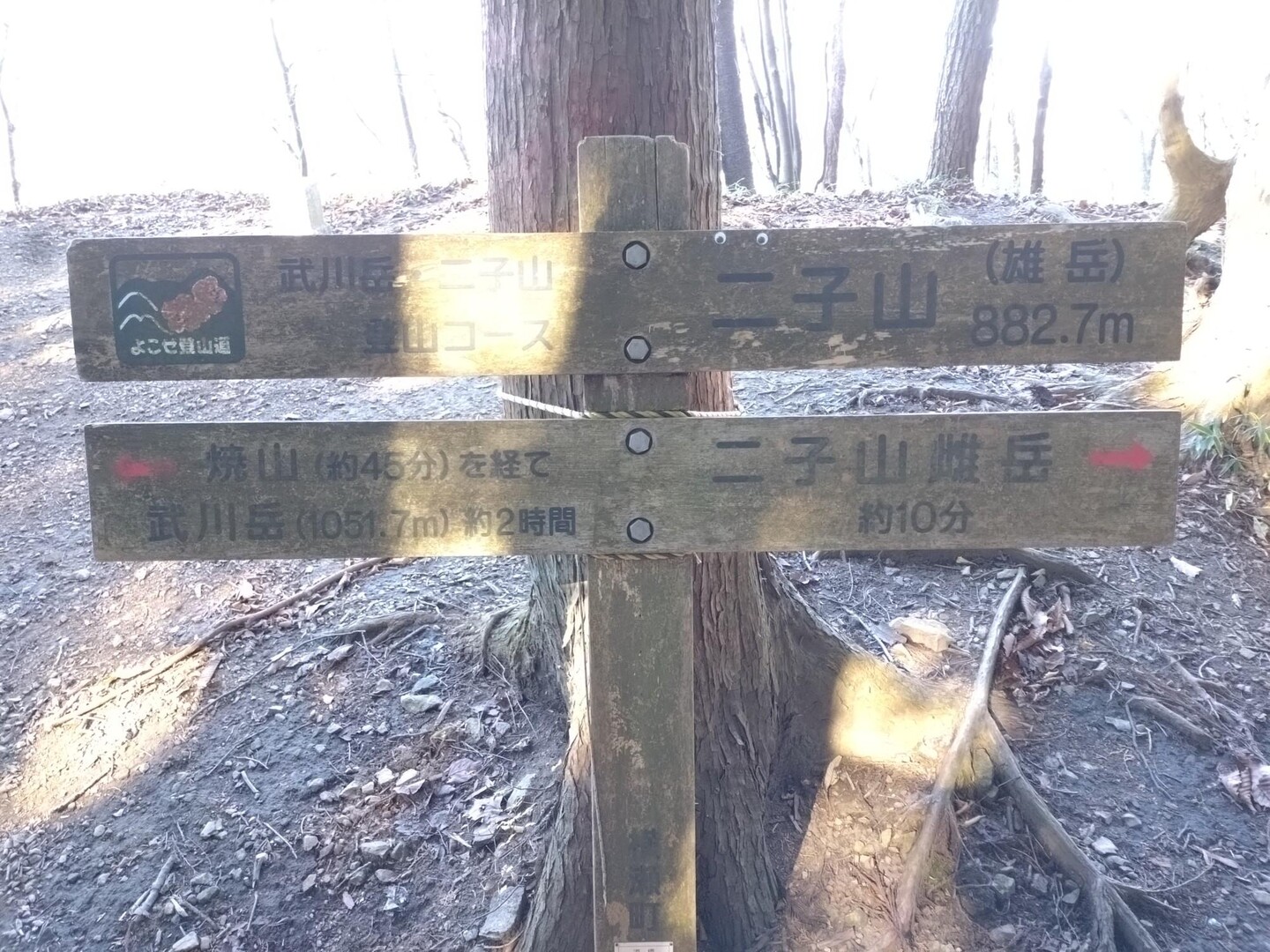 20241123 秩父／二子山（雌岳・雄岳） / ねこさんの丸山・日向山の活動データ | YAMAP / ヤマップ