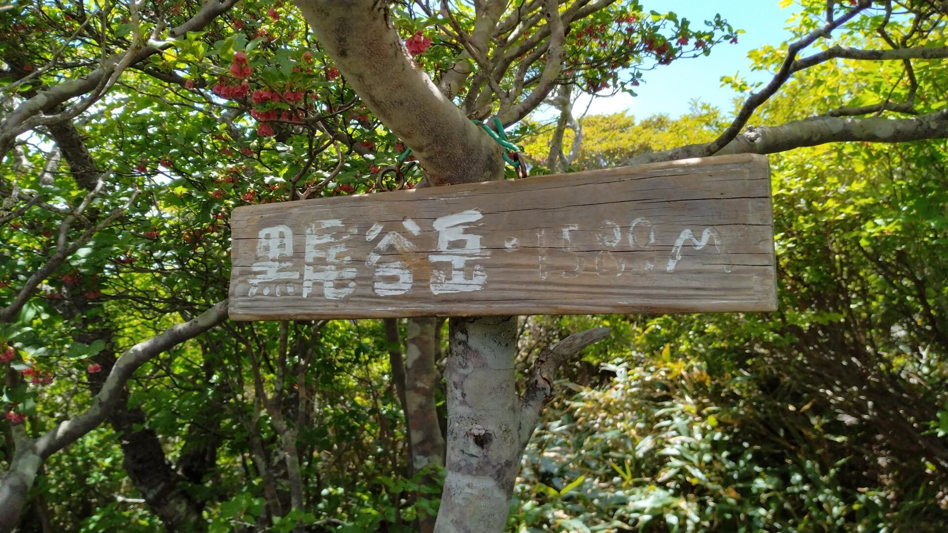 黒尾谷岳 / type52さんの茶臼岳（那須岳）・三本槍岳・赤面山の活動データ | YAMAP / ヤマップ