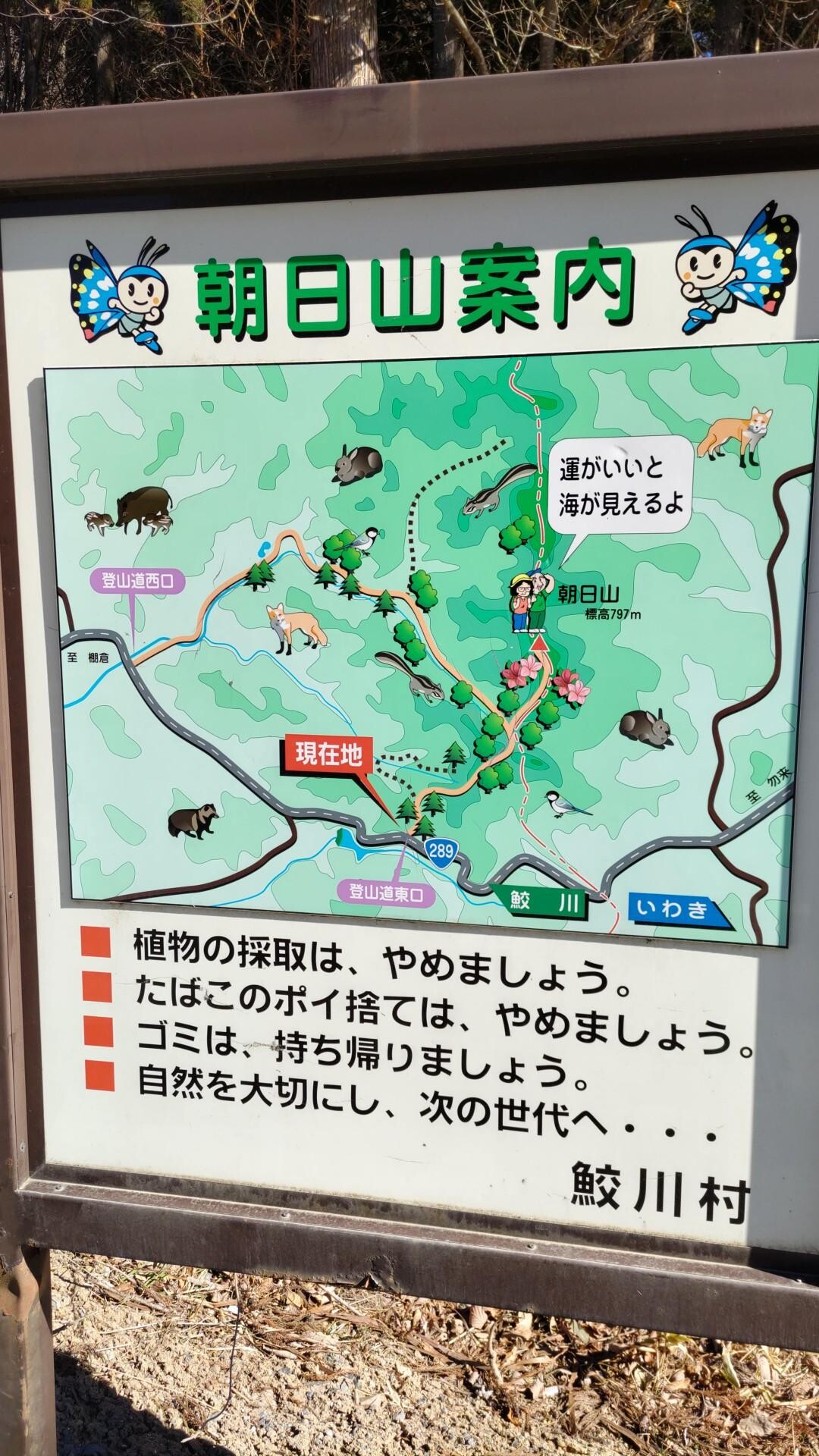 朝日山 / ku-roさんの朝日山の活動データ | YAMAP / ヤマップ