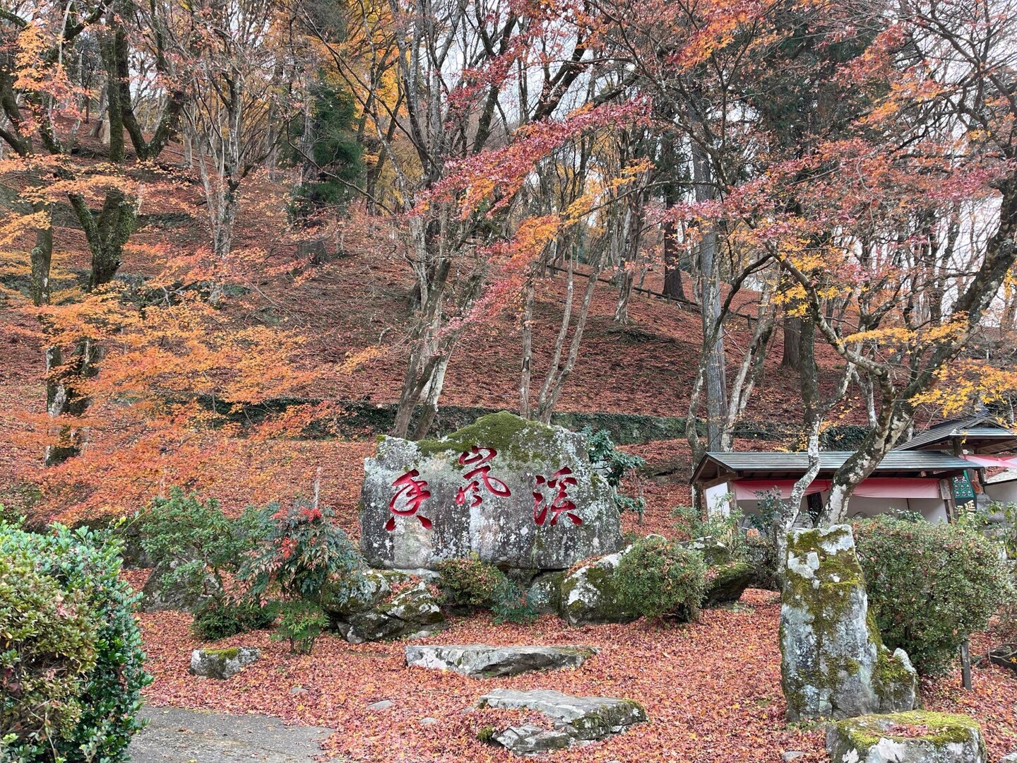 飯盛山🍁香嵐渓 / yuriさんの黍生・飯盛山・真弓山の活動データ | YAMAP / ヤマップ
