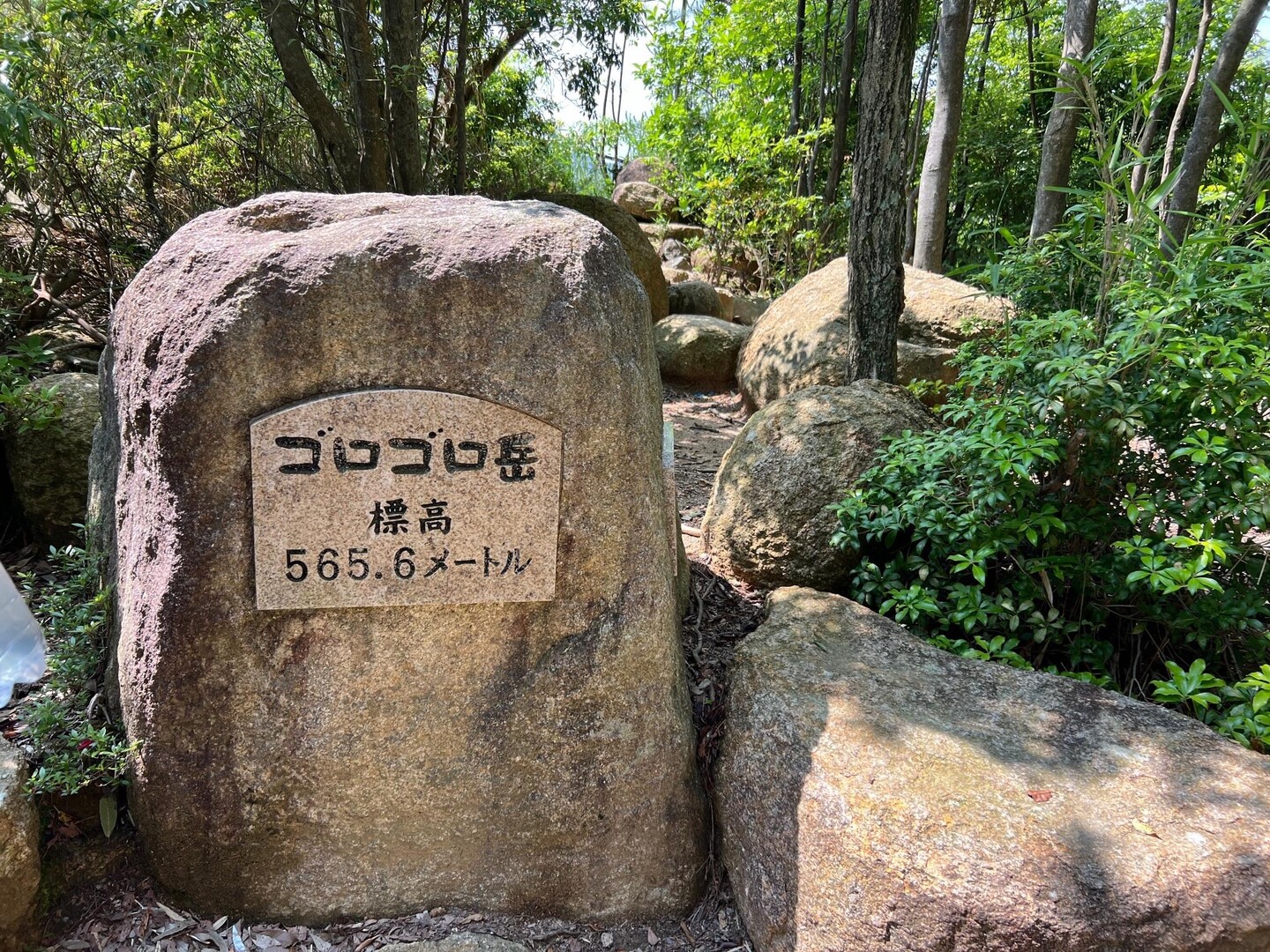 ごろごろ岳にゴロゴロ😺 / April さんの六甲山・長峰山・摩耶山の活動日記 | YAMAP / ヤマップ