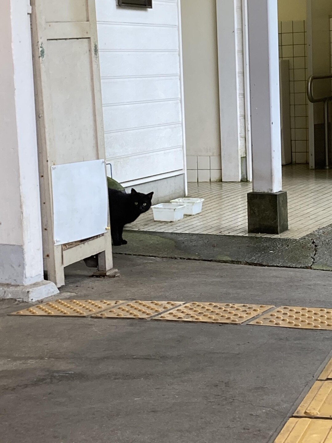 高野参詣道 2024-04-21 / bu-koさんの高野参詣道（高野山・楊柳山・雨引山）の活動データ | YAMAP / ヤマップ