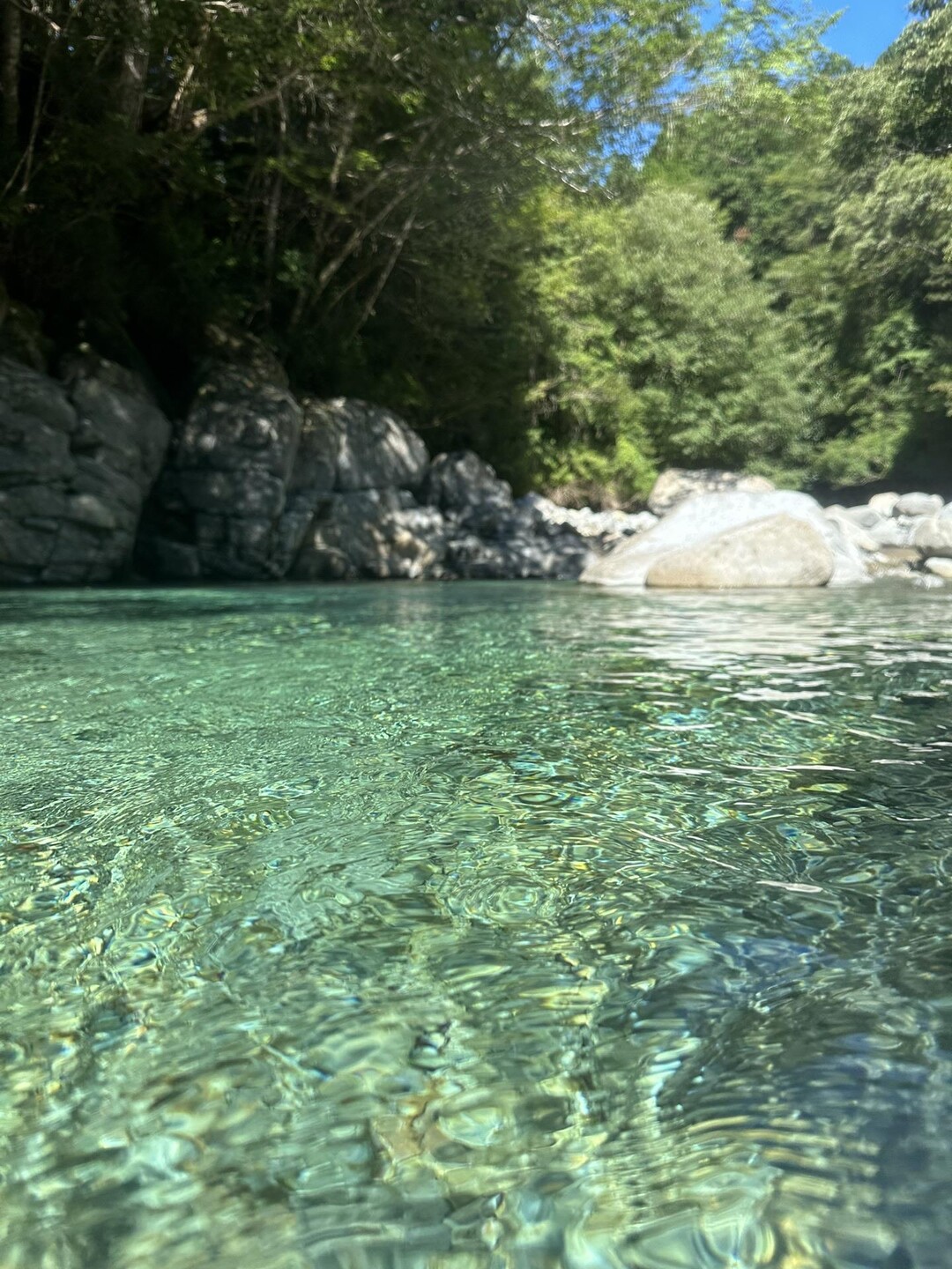 大桑村 阿寺渓谷 川遊びYouTube / kaomi-ruさんの奥三界岳・夕森山の活動データ | YAMAP / ヤマップ