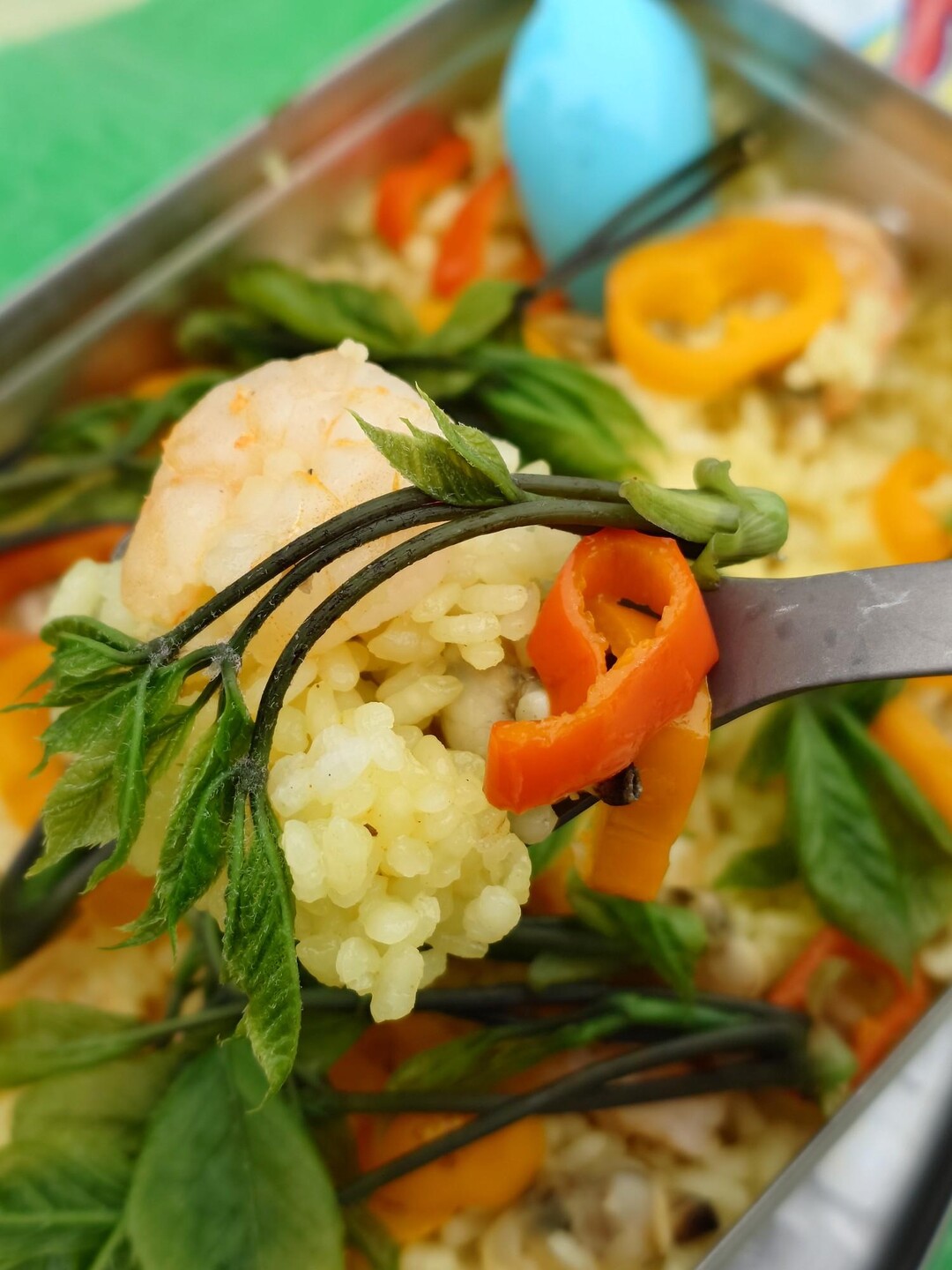 クズバ山山飯登山（18.5kg） / S.Shakunagaさんの大熊山・クズバ山・中山の活動データ | YAMAP / ヤマップ