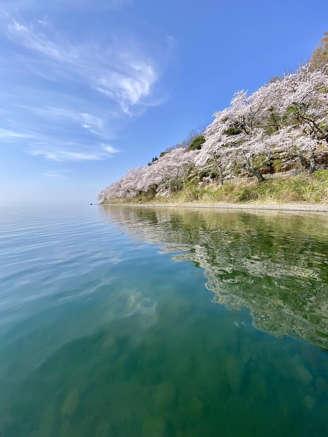今年の初SUPは4月4日の海津大崎でした... / しんちゃんさんのモーメント | YAMAP / ヤマップ