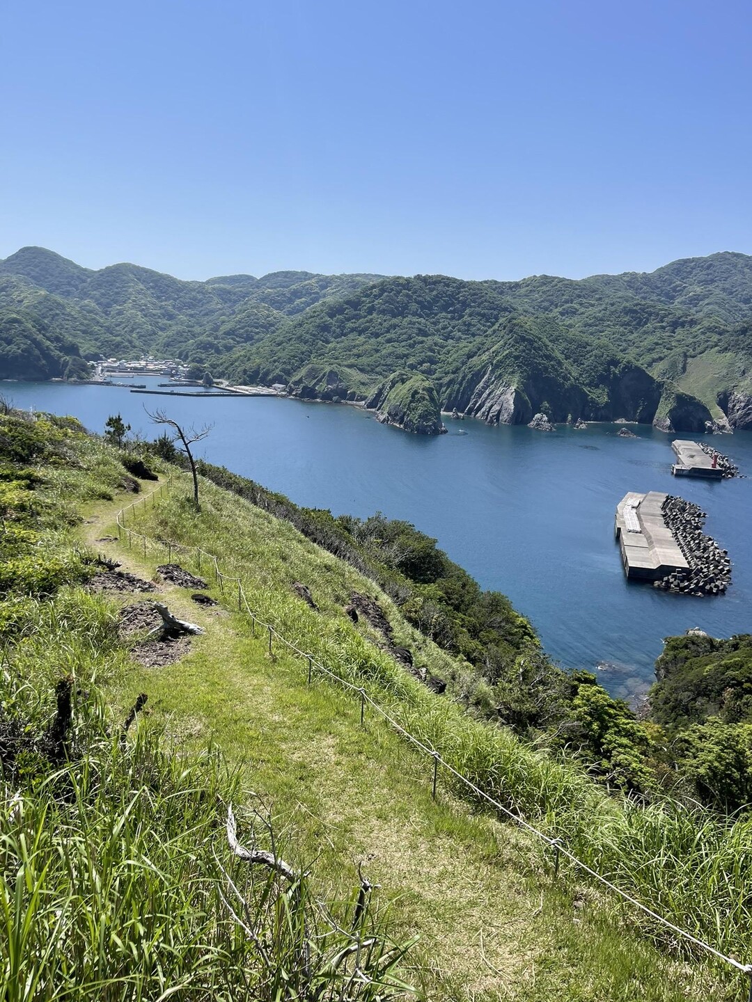 2泊3日 南伊豆ロングトレイル / meiさんの南伊豆町の活動データ | YAMAP / ヤマップ
