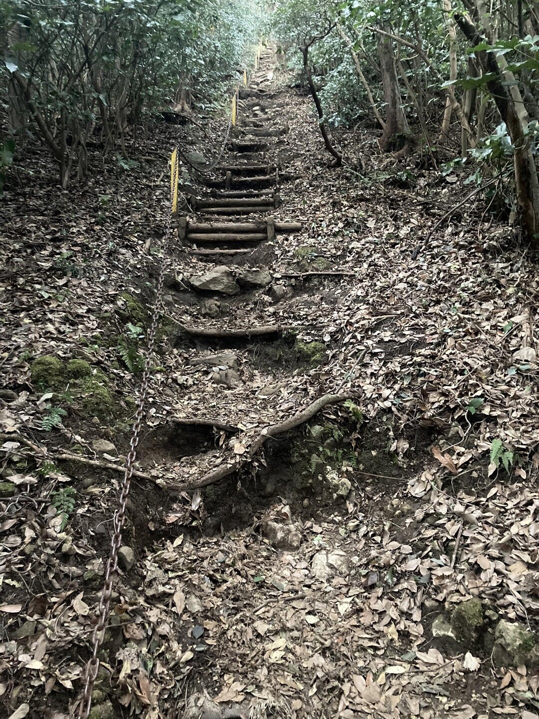 みのさんの投稿したフィールドメモ | YAMAP / ヤマップ