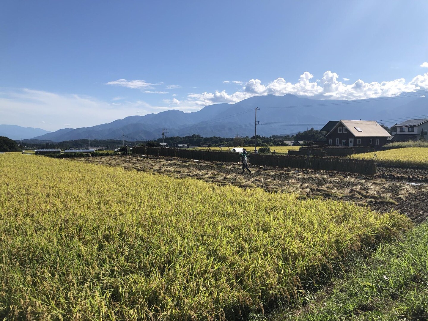 モーメントとやらを使ってみる。 仲間と... / ykさんのモーメント | YAMAP / ヤマップ