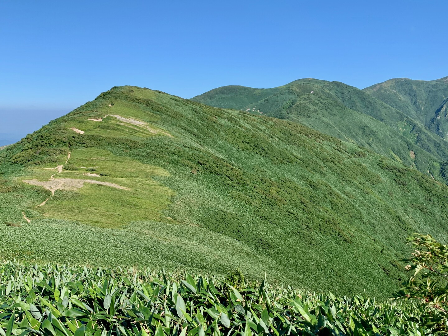 初山小屋泊：頼母木清水に乾杯！ / George-Mさんの朳差岳・鉾立峰・大石山の活動データ | YAMAP / ヤマップ