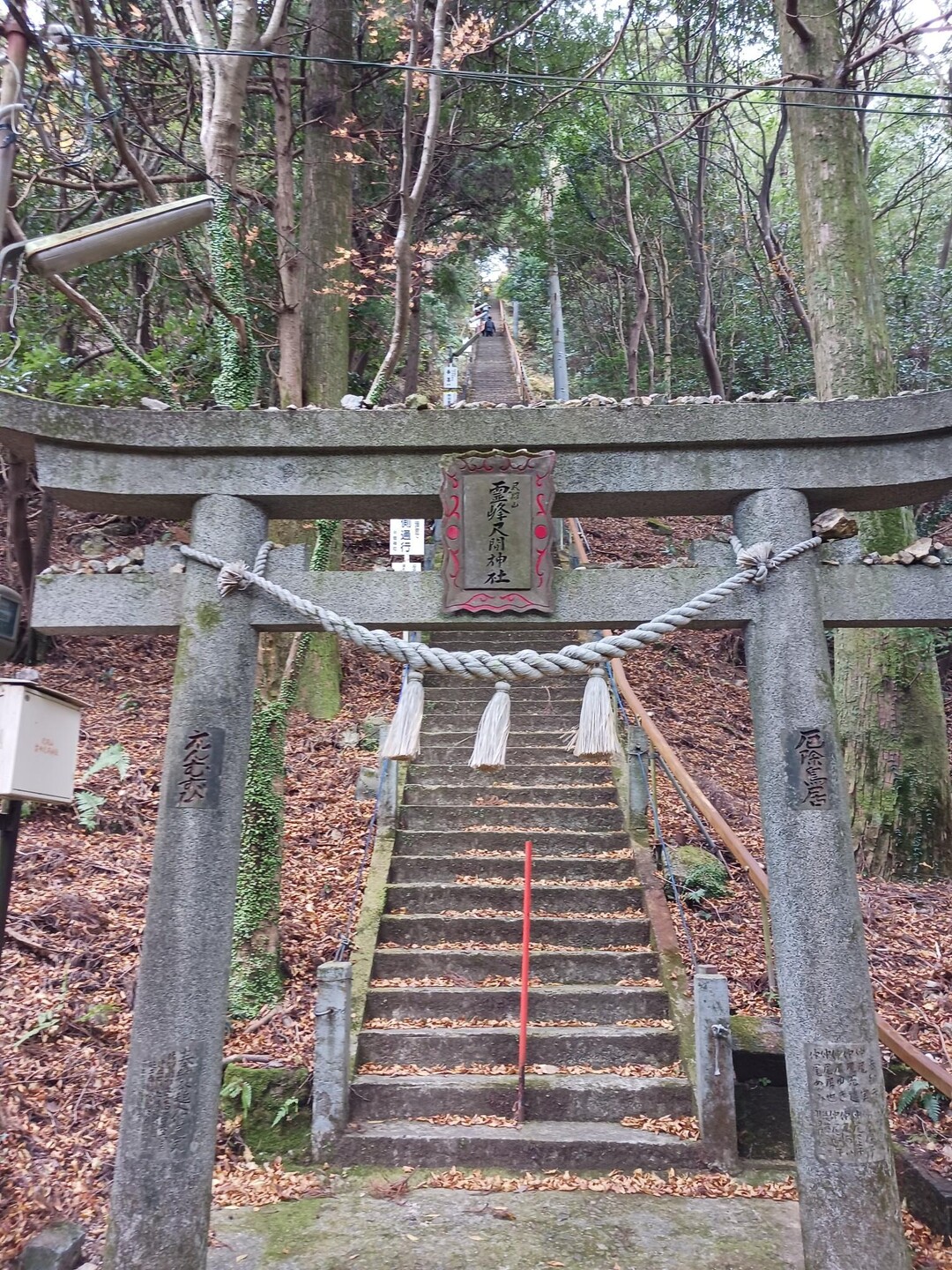 🔰尺間山⛩️ / hiroyoさんの椿山の活動日記 | YAMAP / ヤマップ