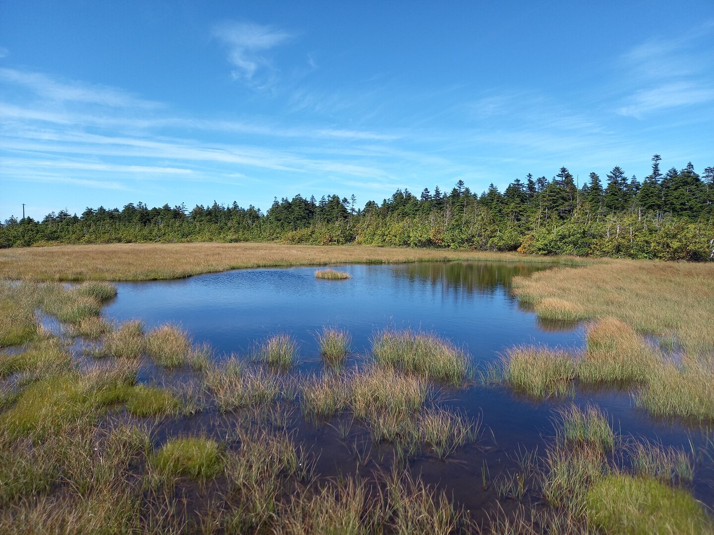 帝釈山/日本二百名山・田代山/花の百名山 / N7さんの田代山・帝釈山の活動データ | YAMAP / ヤマップ