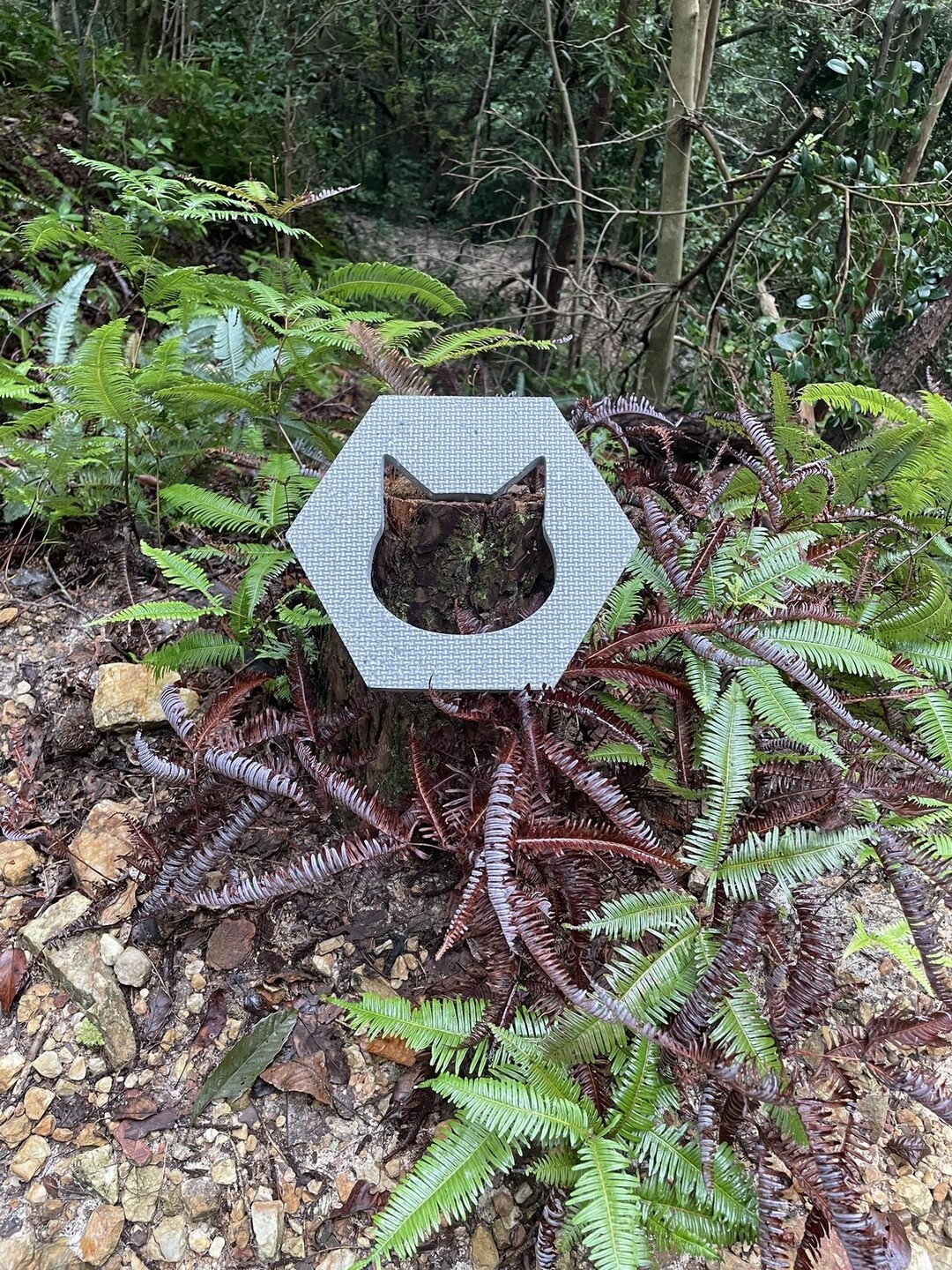 春日井三山→定光寺（朝活） / mikan-1093さんの春日井三山・弥勒山・大谷山・道樹山の活動データ | YAMAP / ヤマップ