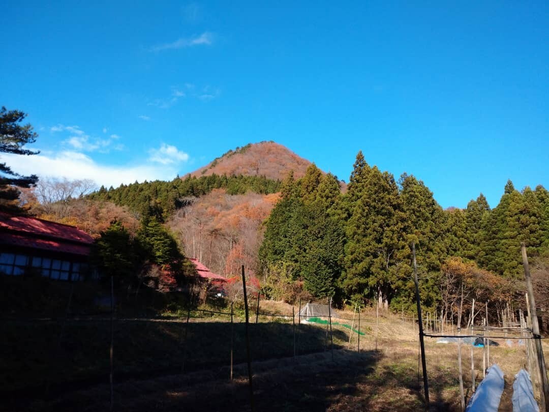 七ツ森①松倉山・②撫倉山 / けんごRTさんの七ツ森の活動日記 | YAMAP / ヤマップ