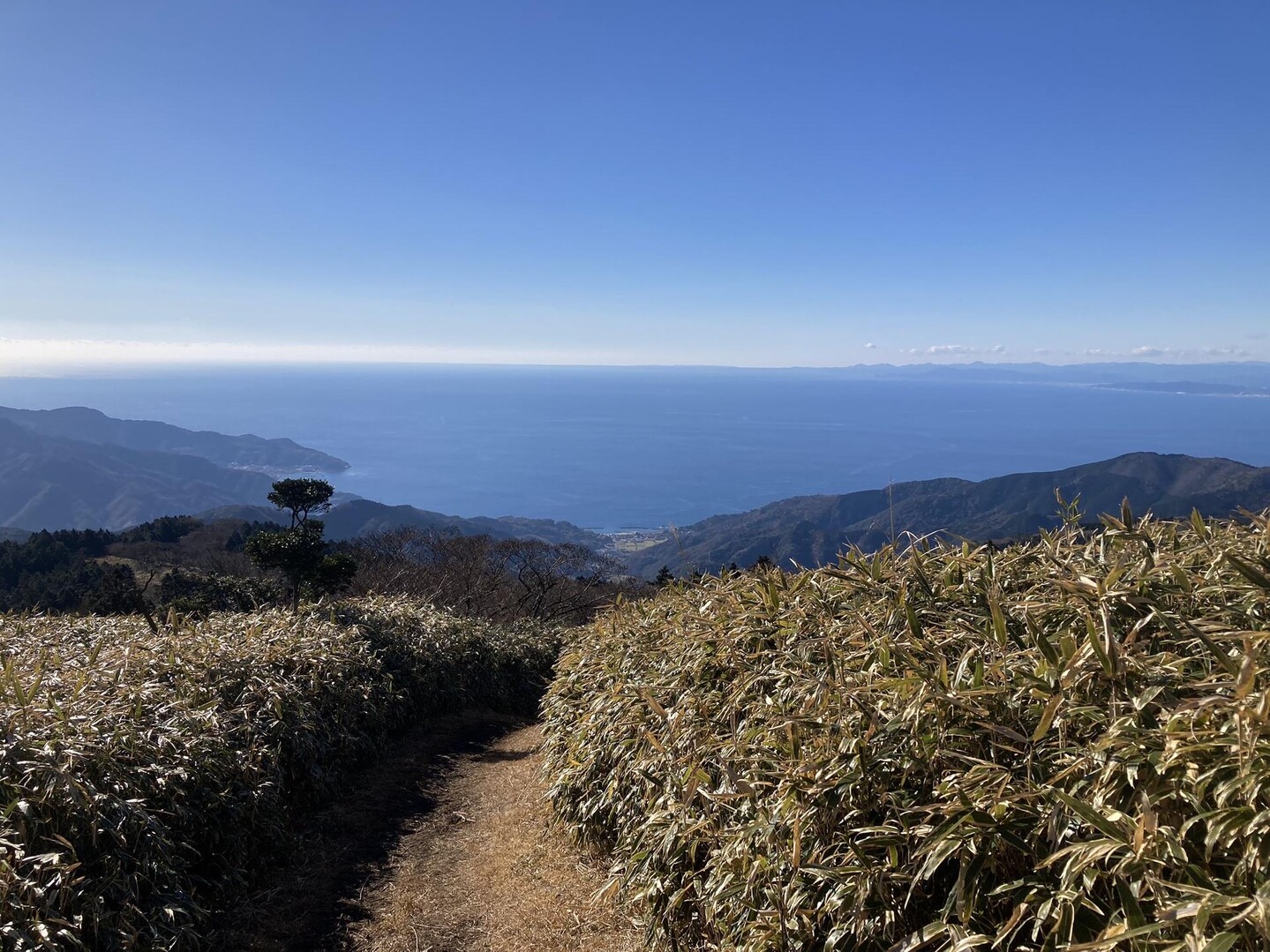 元旦⛩達磨山から海と富士山🐬🗻 / nem&samさんの金冠山・達磨山・葛城山の活動データ | YAMAP / ヤマップ