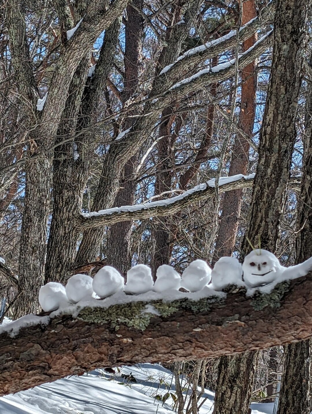 四阿山 / PON助さんの四阿山・根子岳の活動データ | YAMAP / ヤマップ