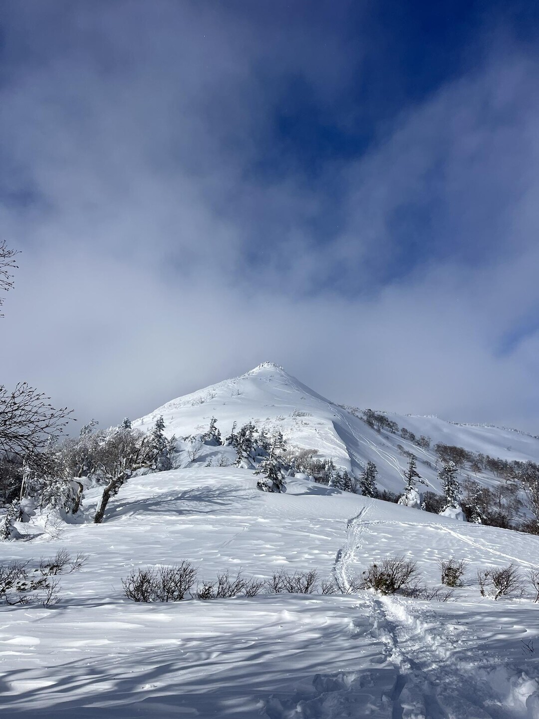 茶臼岳 / 163Go!!さんの岩手山・八幡平・安比高原 50km トレイルの活動日記 | YAMAP / ヤマップ