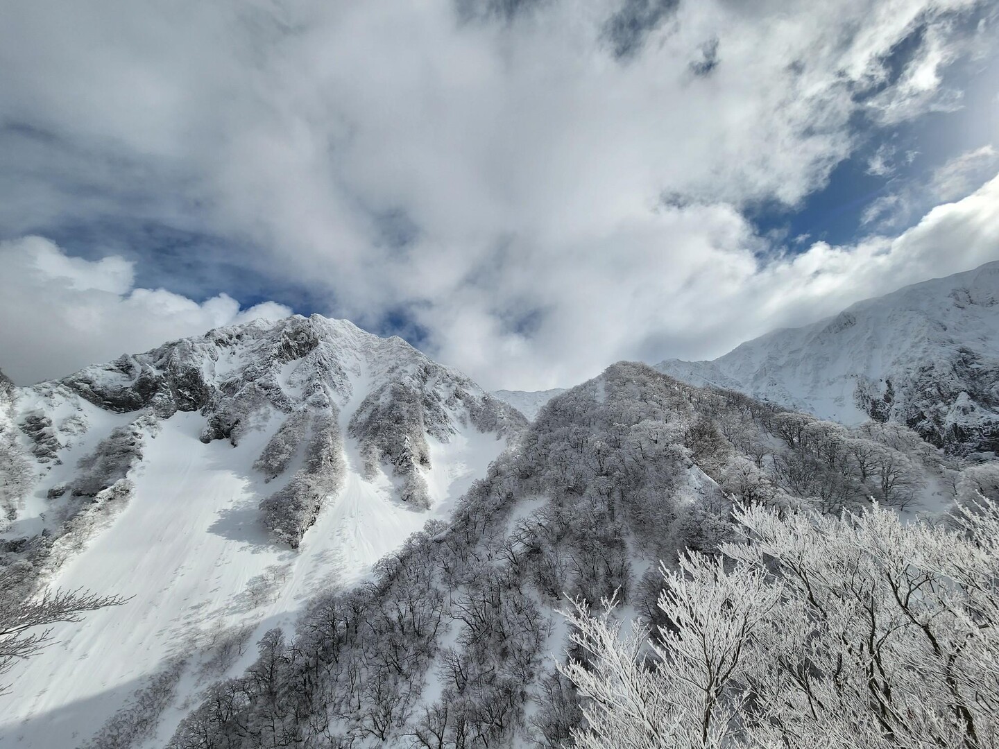 三鈷峰 / YAMA.ALPSさんの大山・甲ヶ山・野田ヶ山の活動データ | YAMAP / ヤマップ