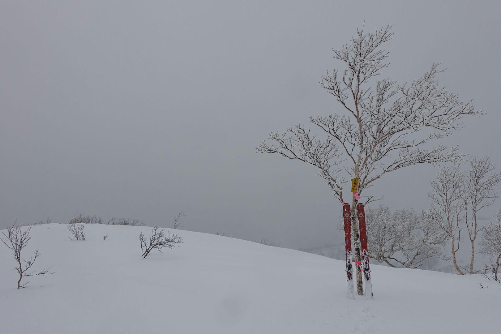 累標山BC / Ryoさんの稲穂嶺・銀山の活動データ | YAMAP / ヤマップ