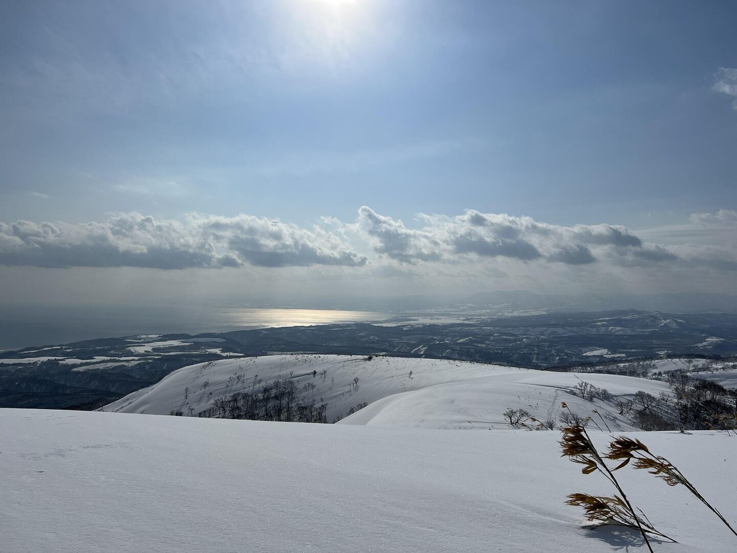 ︎ ︎ ︎ルコツ岳・坊主山 ︎ ︎ ︎ / rukiさんの美利河丸山(丸山)の活動データ | YAMAP / ヤマップ