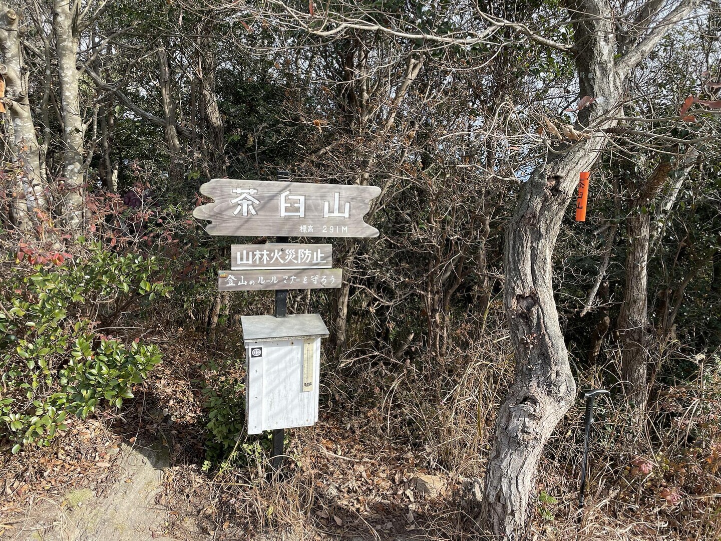 茶臼山（#9）2024 final / ♬dongoro♬さんの茶臼山・万灯山の活動データ | YAMAP / ヤマップ