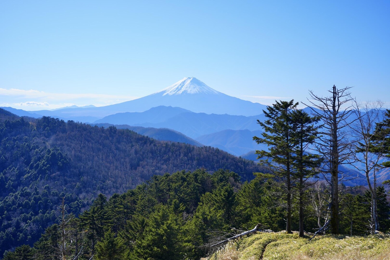 牛奥ノ雁ヶ腹摺山・小金沢山 / ma-sa-kiさんの雁ヶ腹摺山・岩殿山の活動データ | YAMAP / ヤマップ